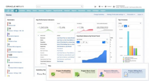 NETSUITE DEMO ACCOUNT: Your Free Trial to Powerful ERP - Demographic